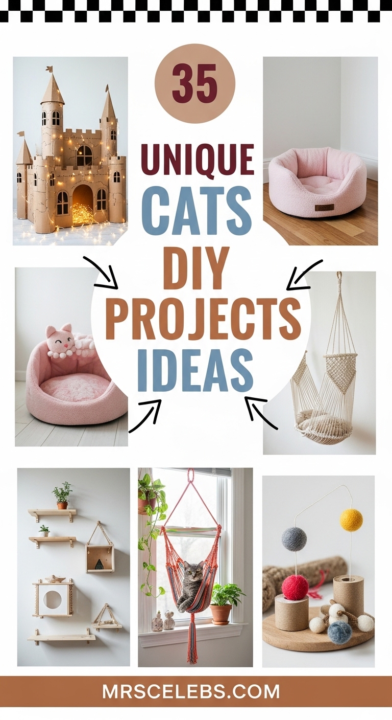 UNIQUE CATS DIY PROJECTS IDEAS